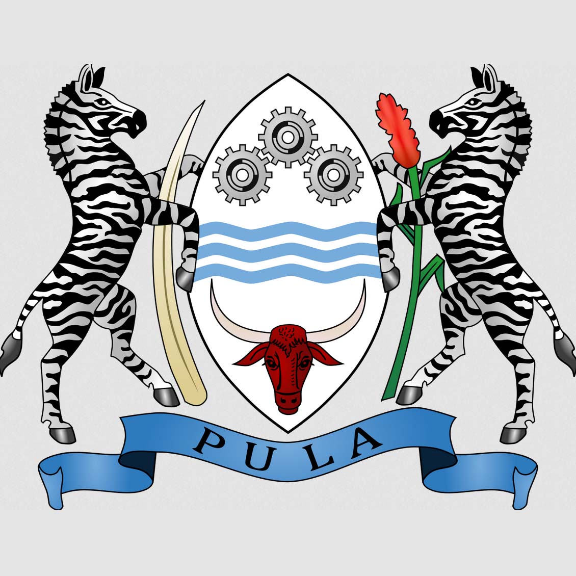 National Arts Council Of Botswana » Kgwebokard Sametime